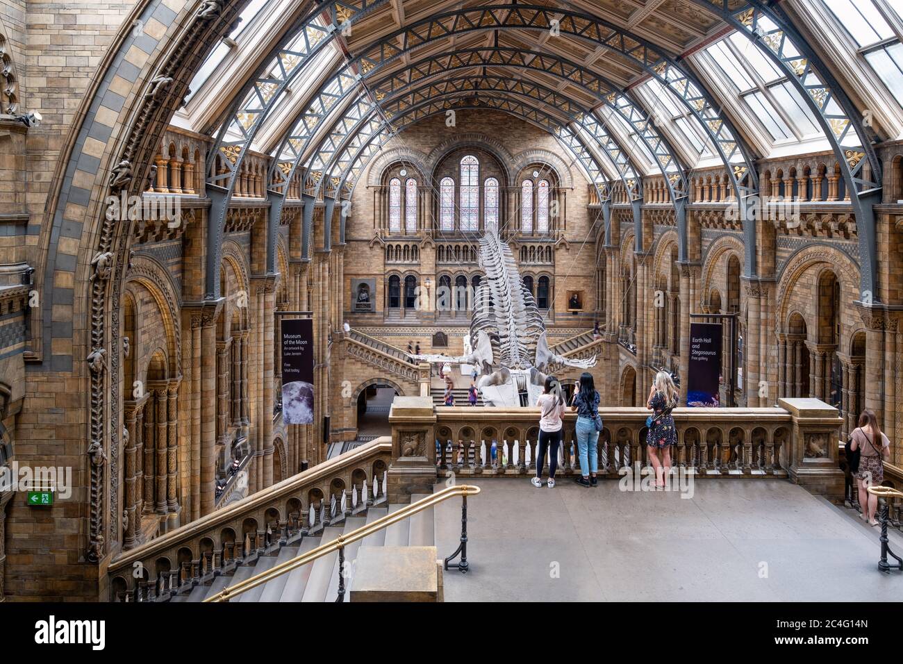 The Hintze Hall at the Natural History Museum in London with a blue ...