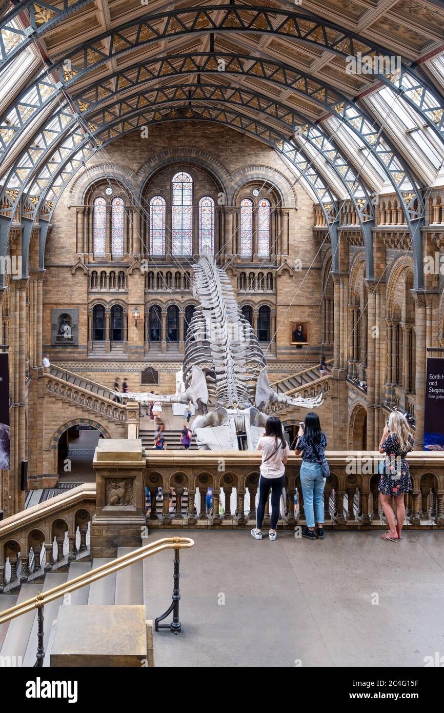 The Hintze Hall at the Natural History Museum in London with a blue ...