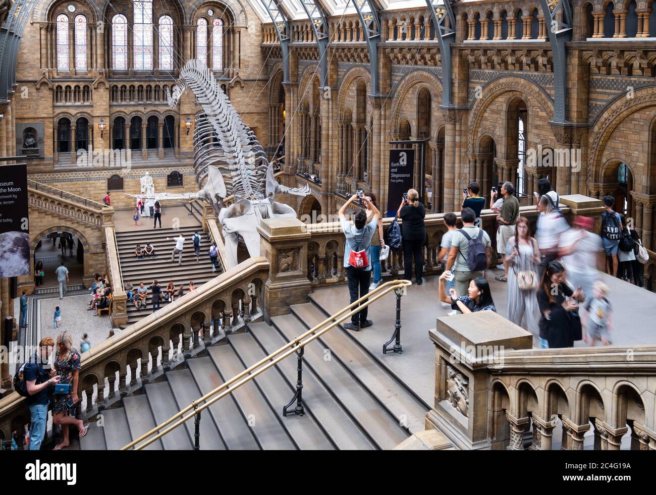 The Hintze Hall at the Natural History Museum in London with a blue ...
