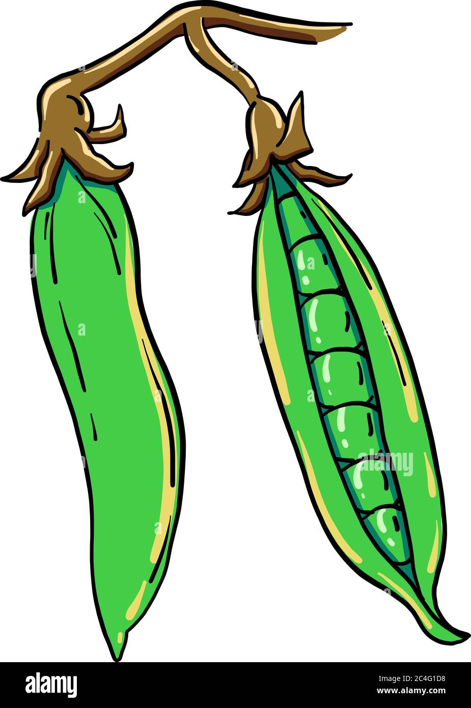 Two peas, illustration, vector on white background Stock Vector Image ...