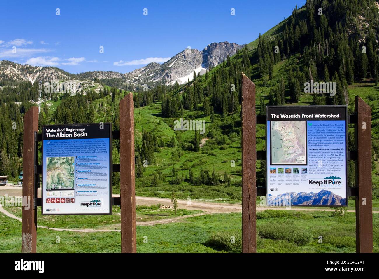Albion Basin, Snowbird Ski Resort, Alta Village, Salt Lake City, Utah ...
