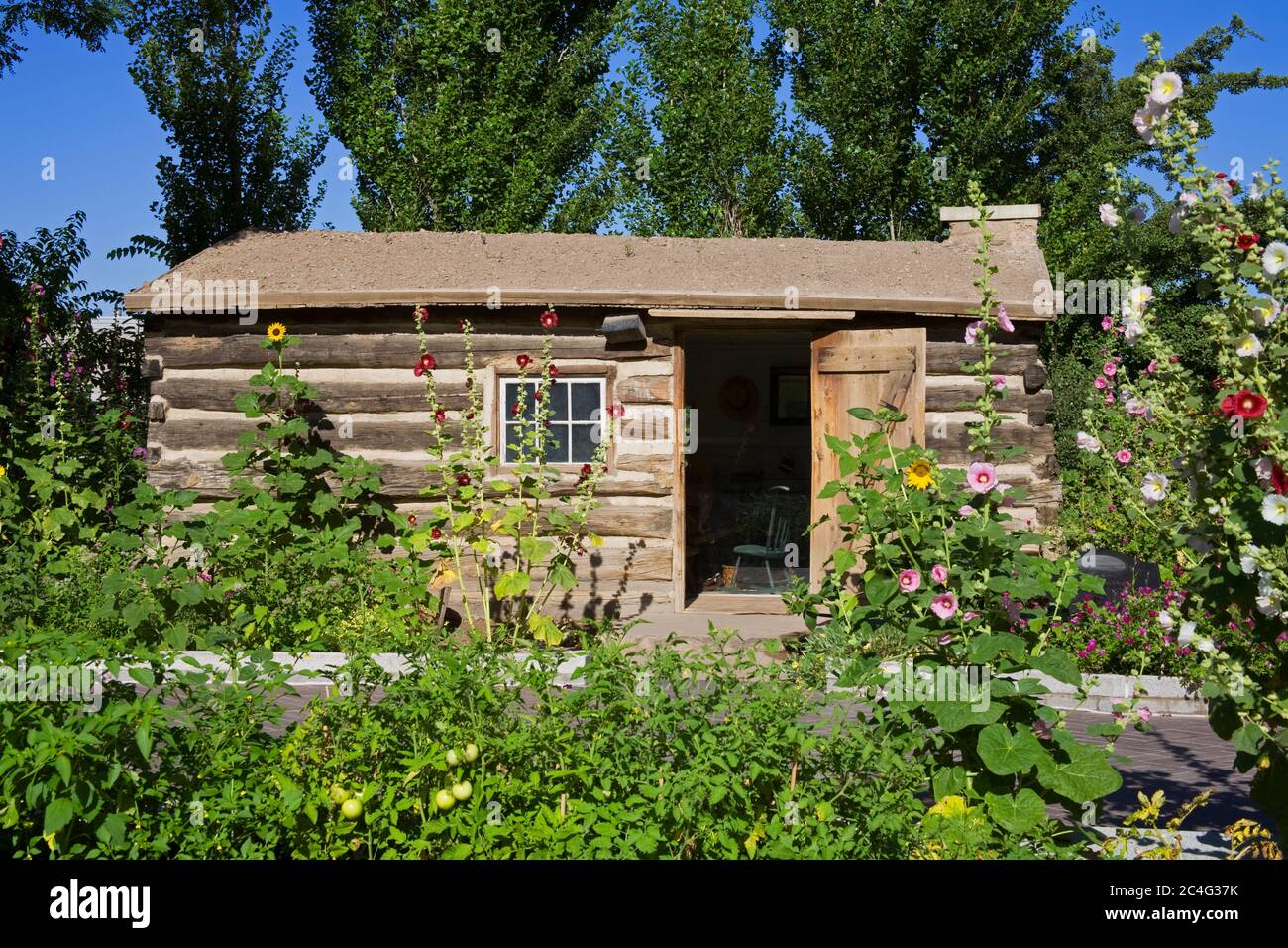 Log temple hi-res stock photography and images - Alamy