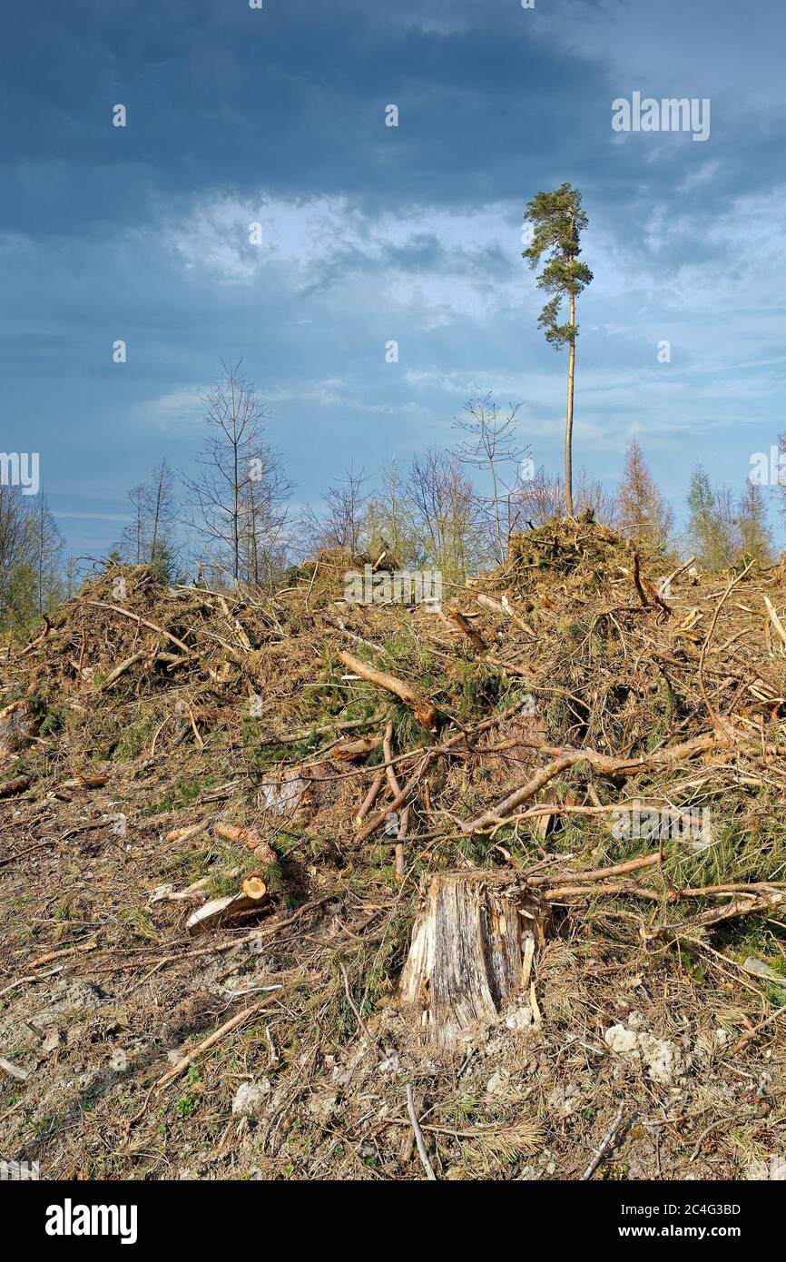 Destruction of biodiversity hi-res stock photography and images - Alamy