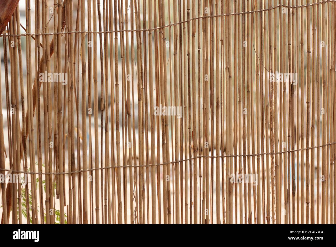 Cane texture And Background. Good For Textures And Background Stock ...