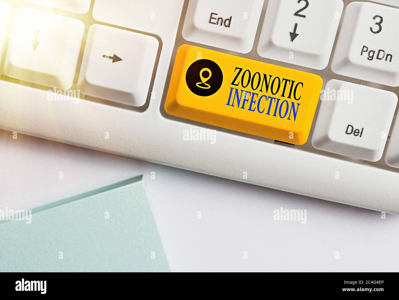 Word writing text Zoonotic Infection. Business photo showcasing ...