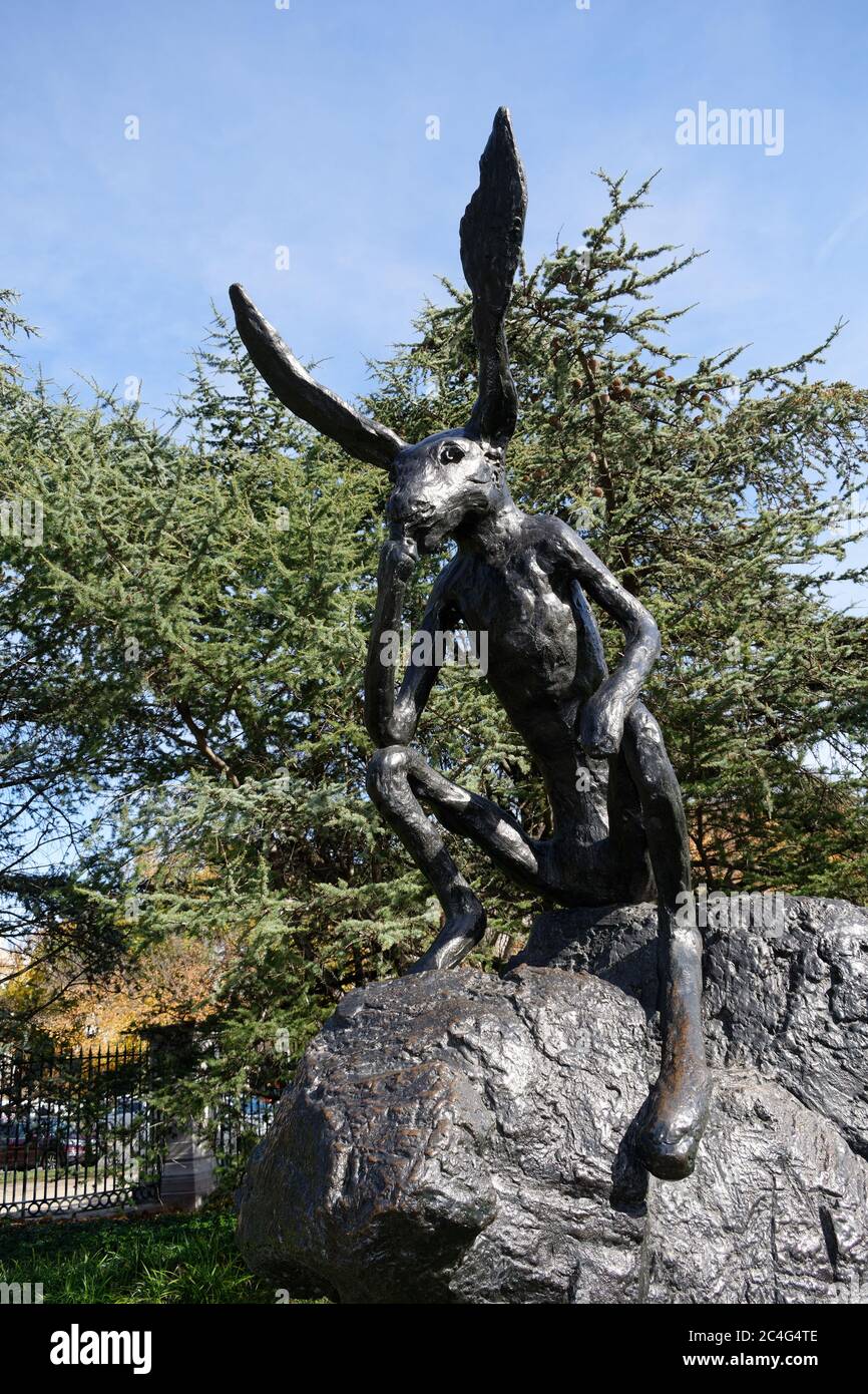 Thinker rabbit hi-res stock photography and images - Alamy