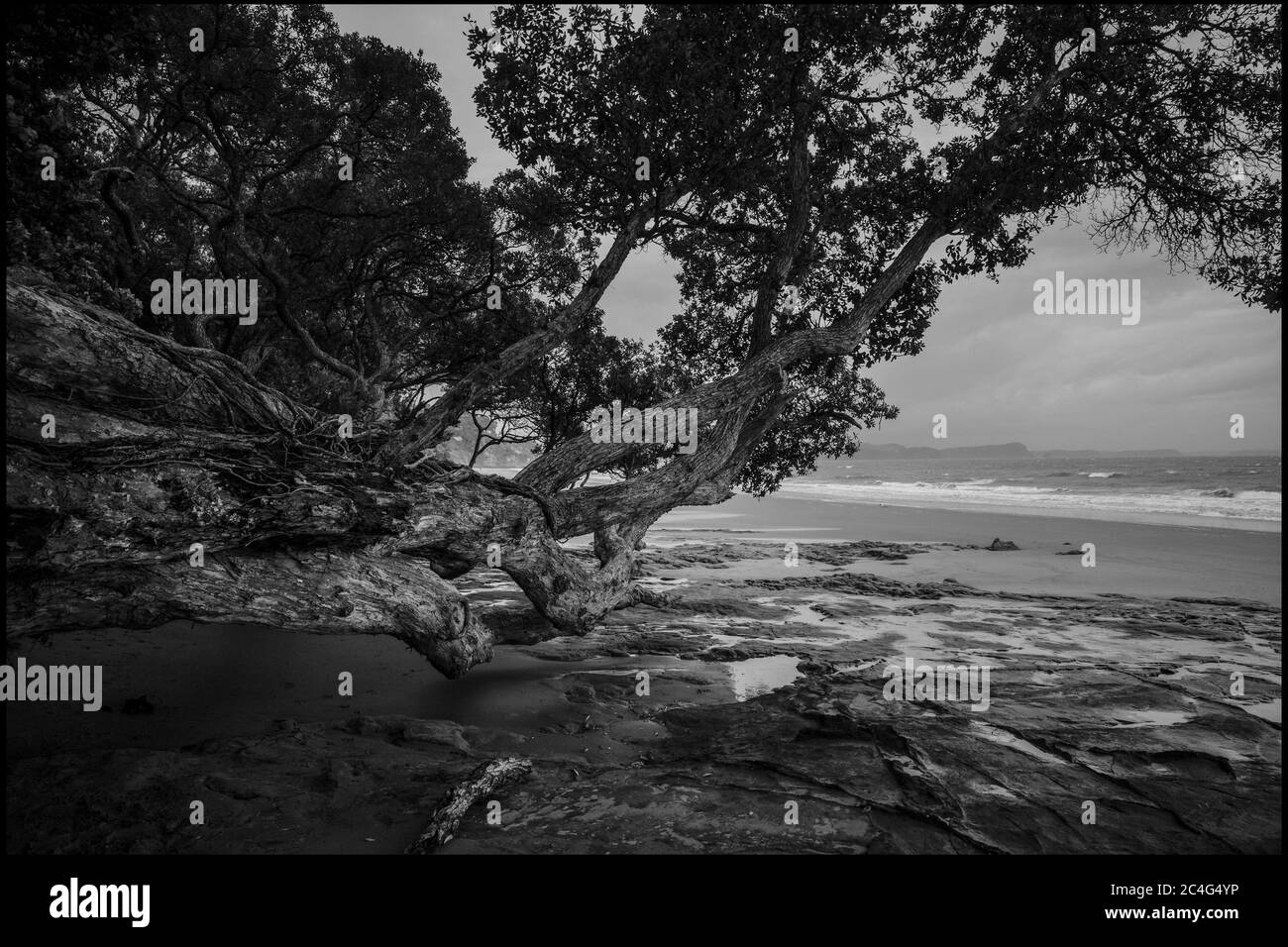 Stanmore Bay beach Auckland New Zealand on a wet Friday afternoon ...