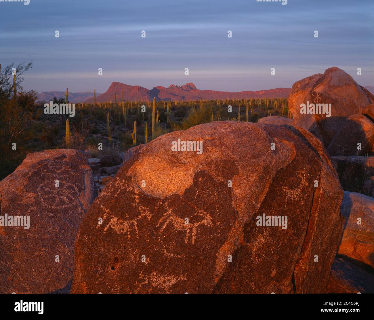Hohokam culture hi-res stock photography and images - Alamy