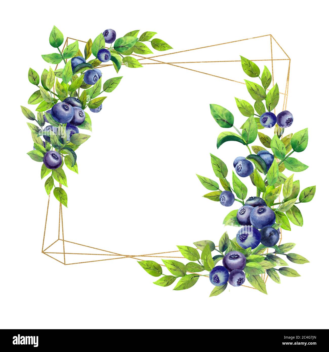 Golden geometric frame with ripe blueberries on white isolated ...