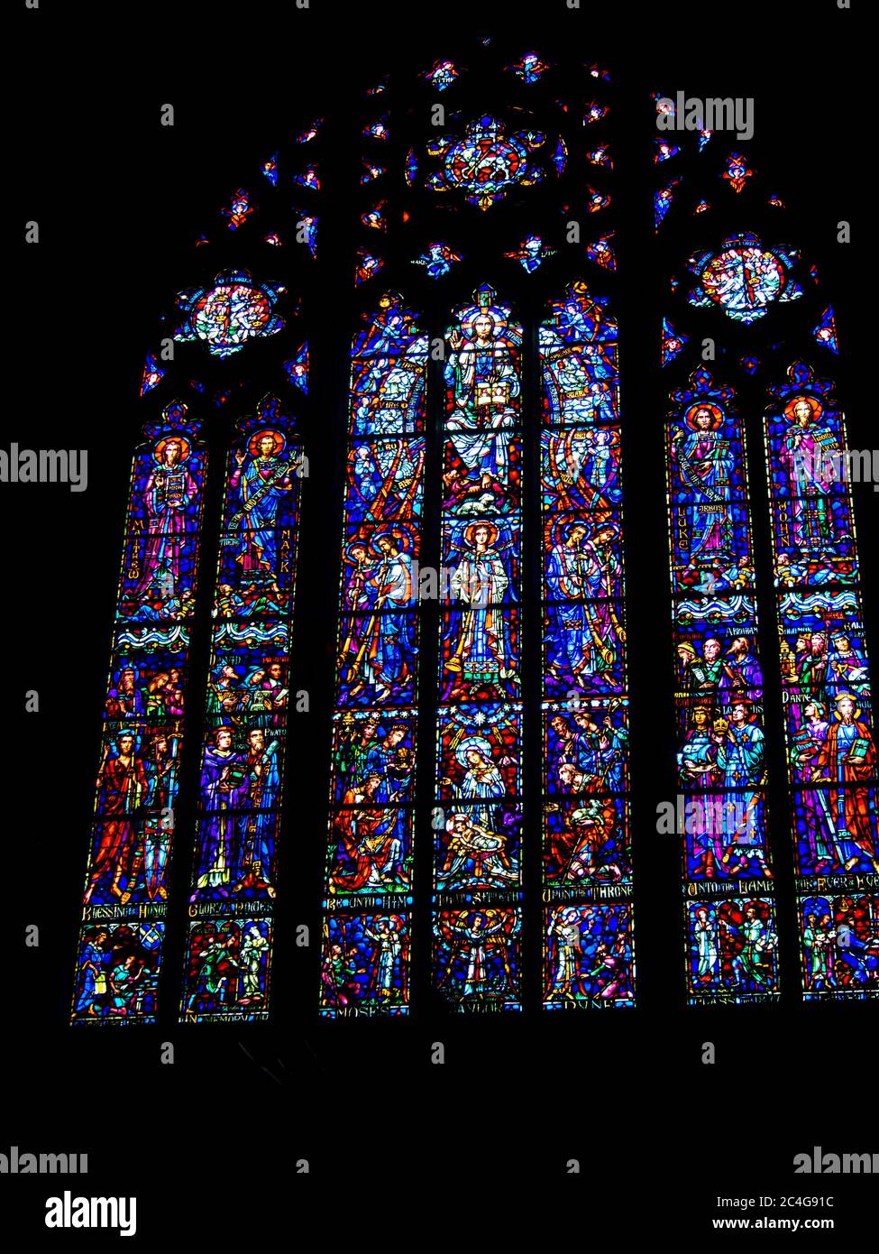 Purple Martin Mosaic Window