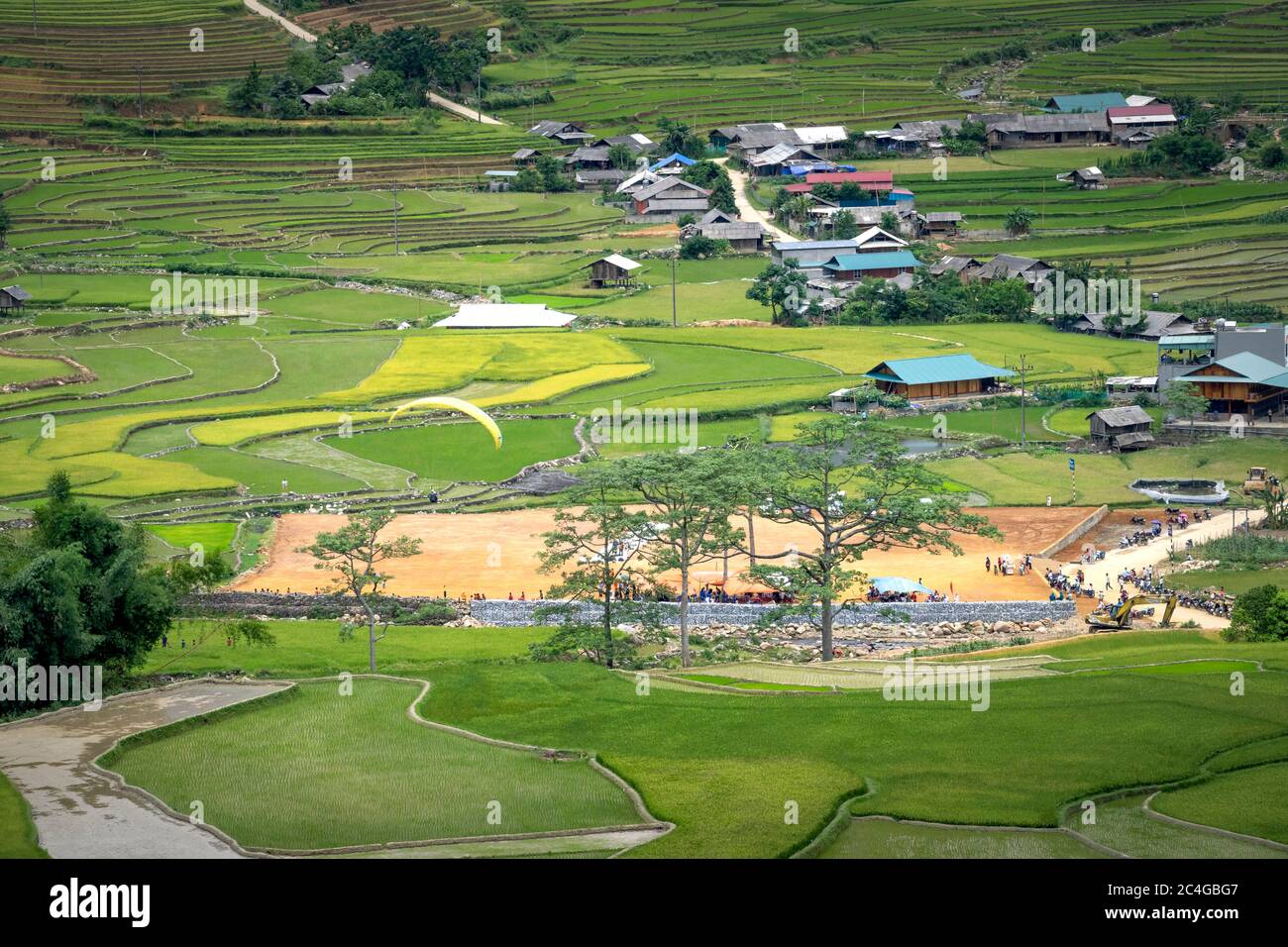 The image is as beautiful as the oil painting of terraced field. Curved ...