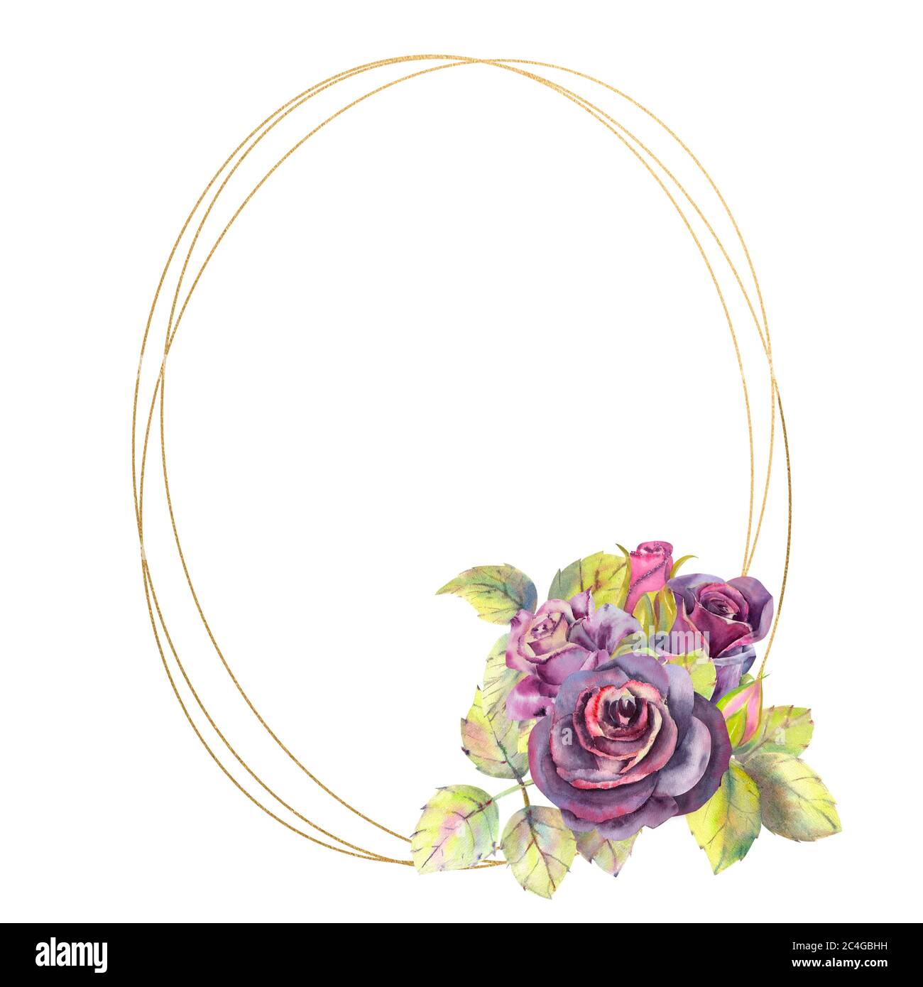 Flowers of dark roses, green leaves, the composition in a geometric ...