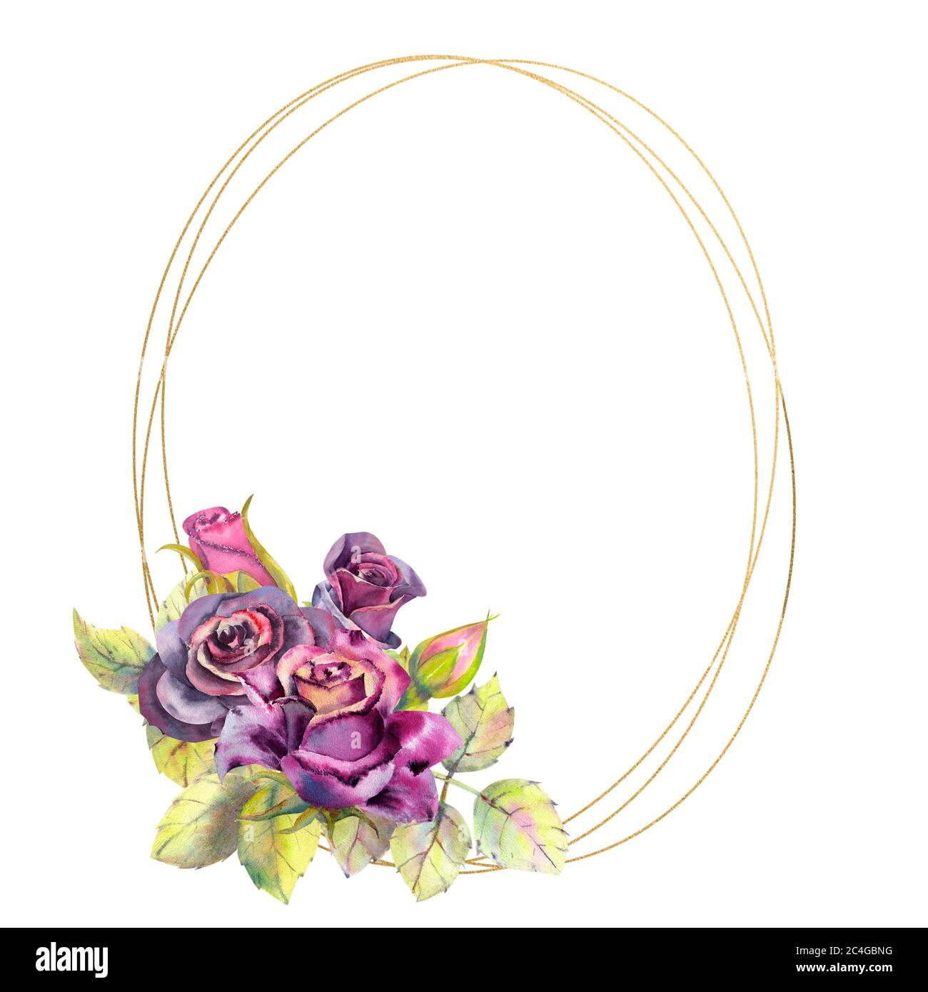 Flowers of dark roses, green leaves, the composition in a geometric ...