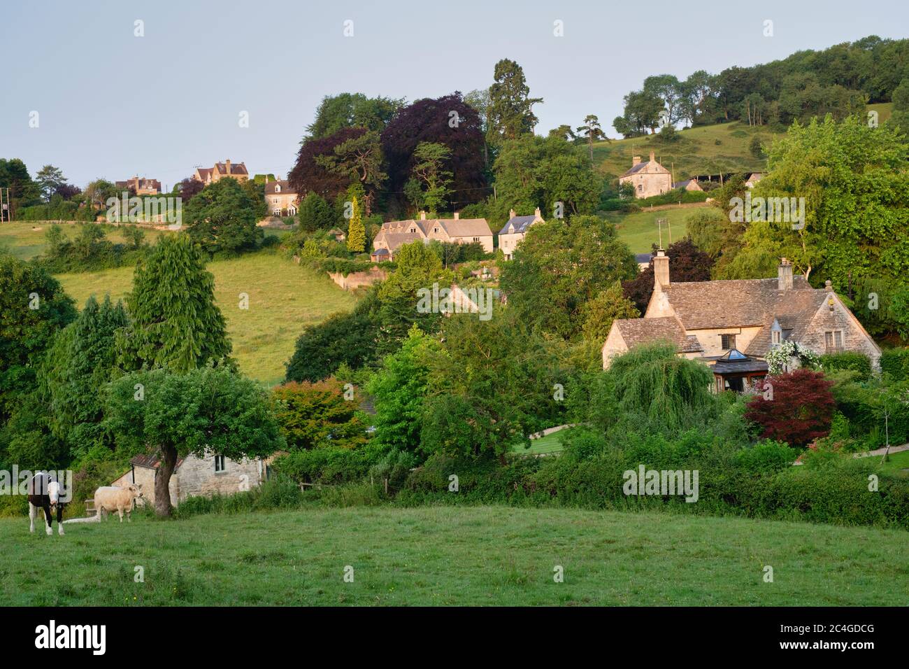 Pitchcombe house hi-res stock photography and images - Alamy