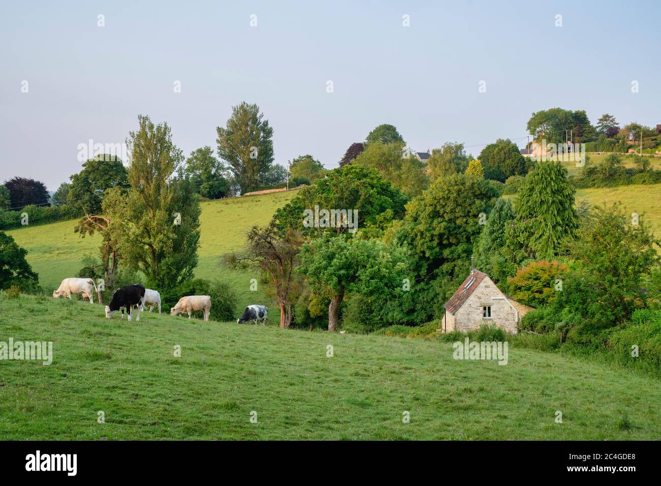 Cotswold village of Pitchcombe at sunrise. Pitchcombe, Gloucestershire ...