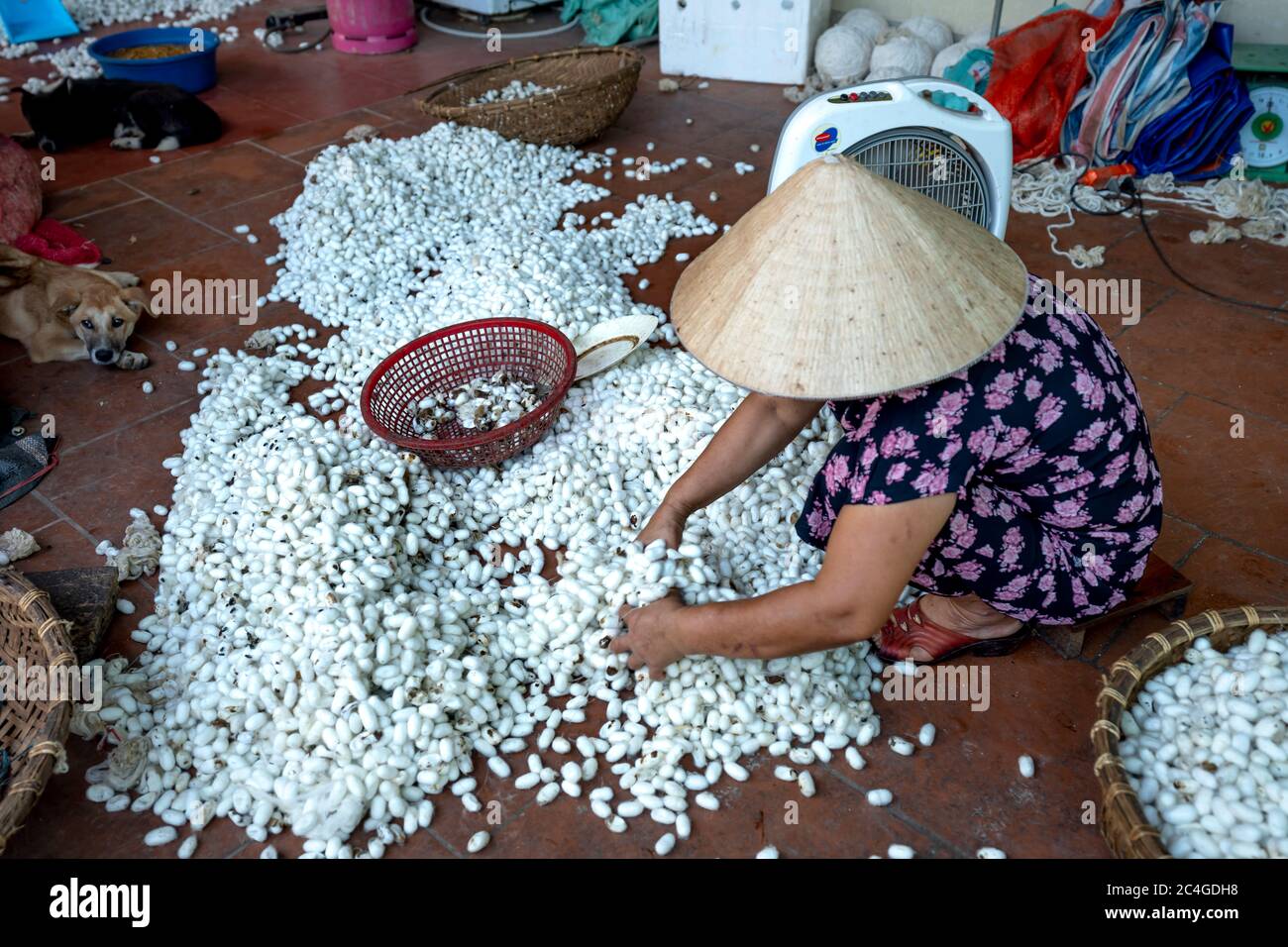 Co Chat silk village, Nam Dinh, Vietnam - May 26, 2020: cooking ...