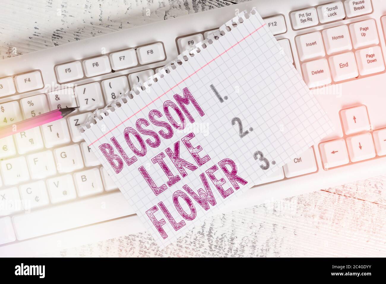 Writing note showing Blossom Like Flower. Business concept for an ...