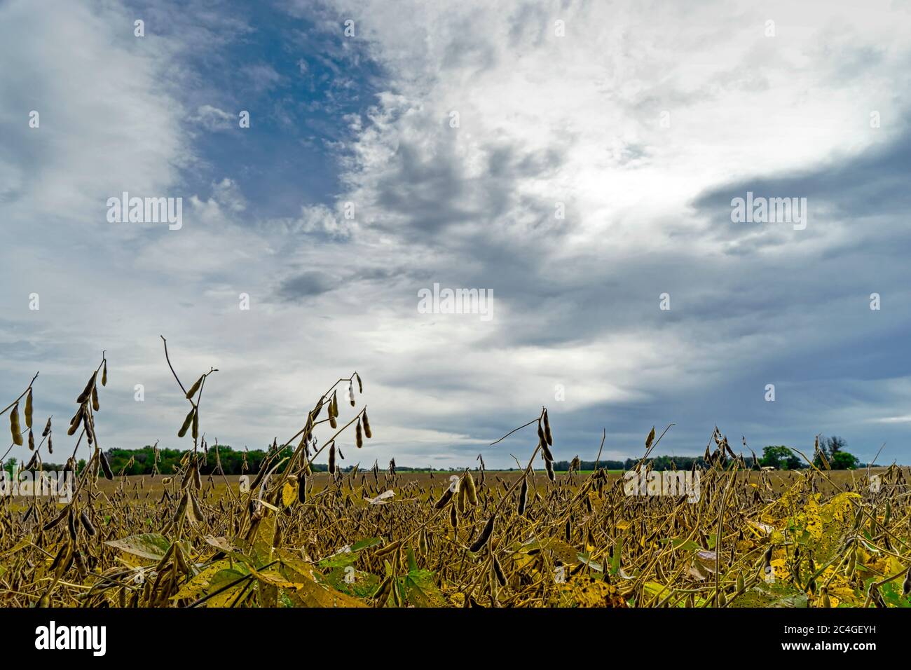 Millville hi-res stock photography and images - Alamy