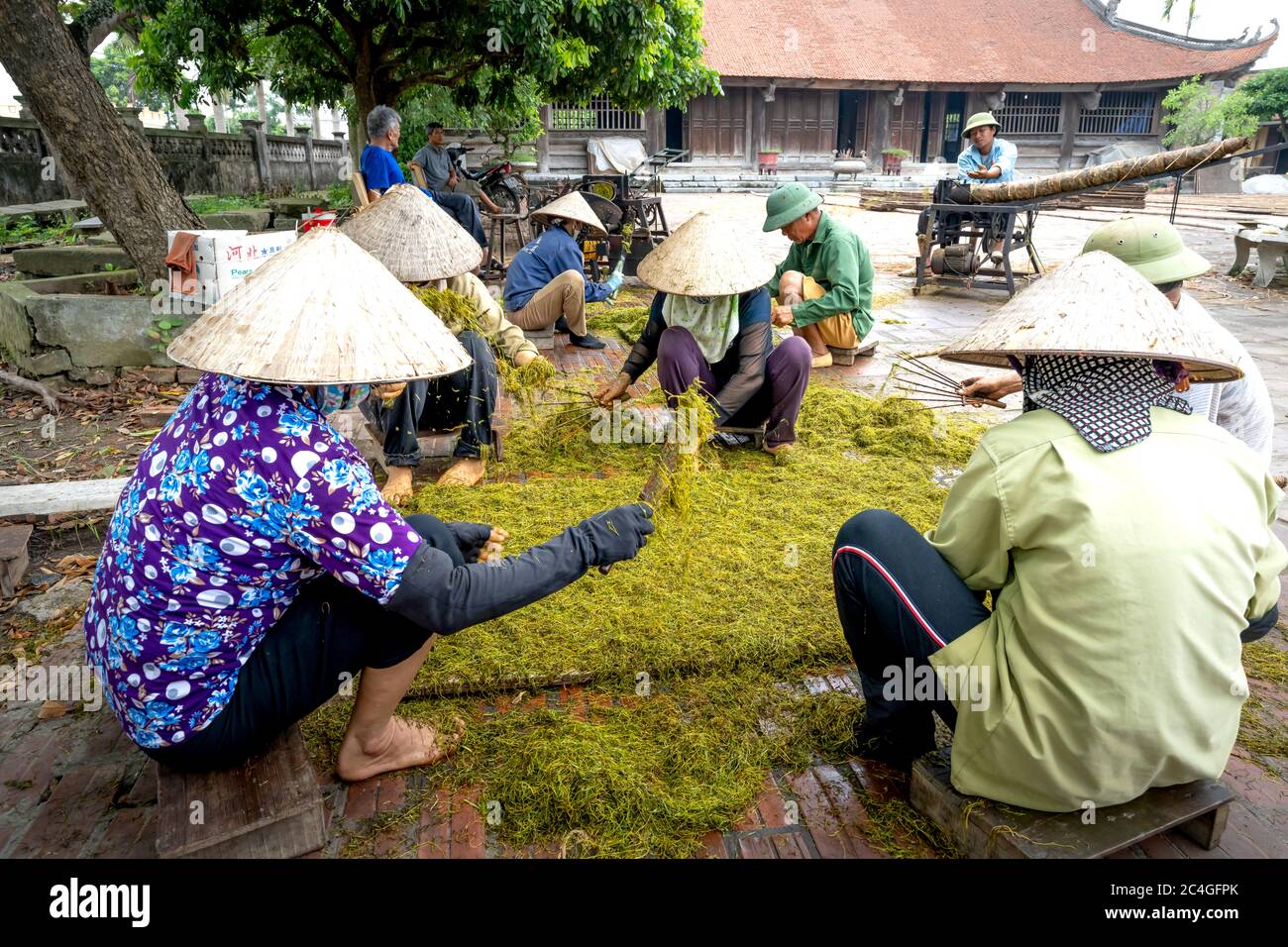 Women Doing Manual Work High Resolution Stock Photography and Images ...