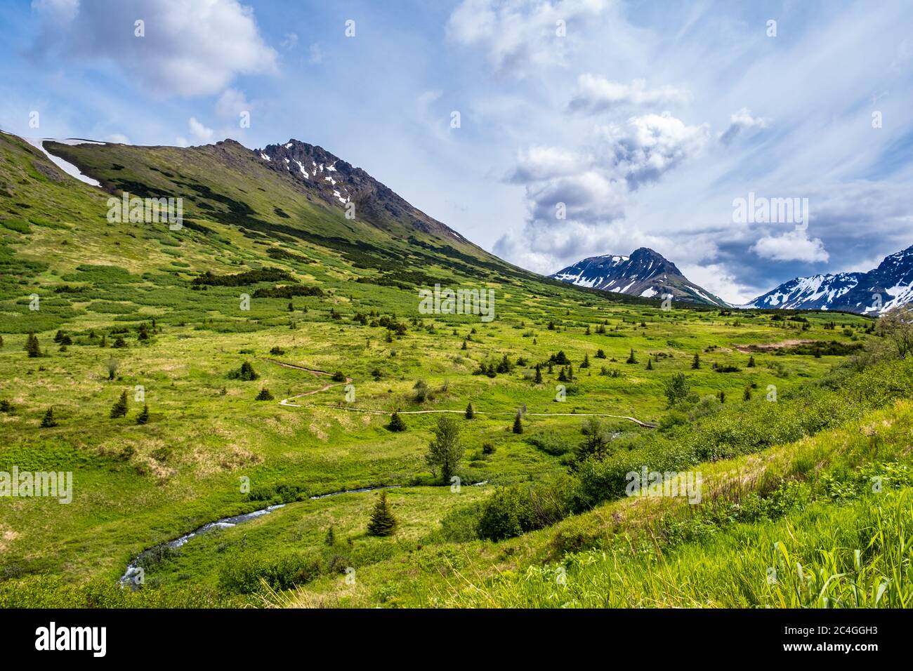 Anchorage alaska mountain trees hi-res stock photography and images - Alamy