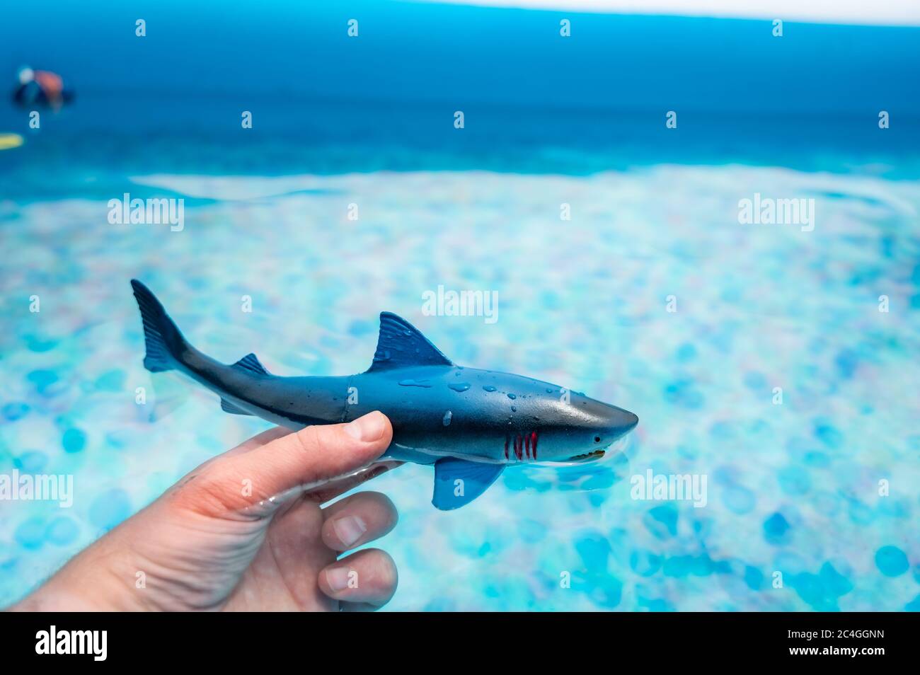 Shark pool float hi-res stock photography and images - Alamy
