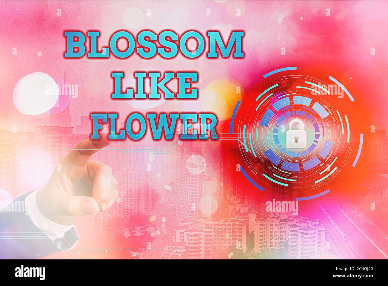 Handwriting text writing Blossom Like Flower. Conceptual photo an ...