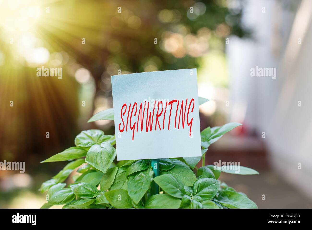 Writing note showing Signwriting. Business concept for any type of ...