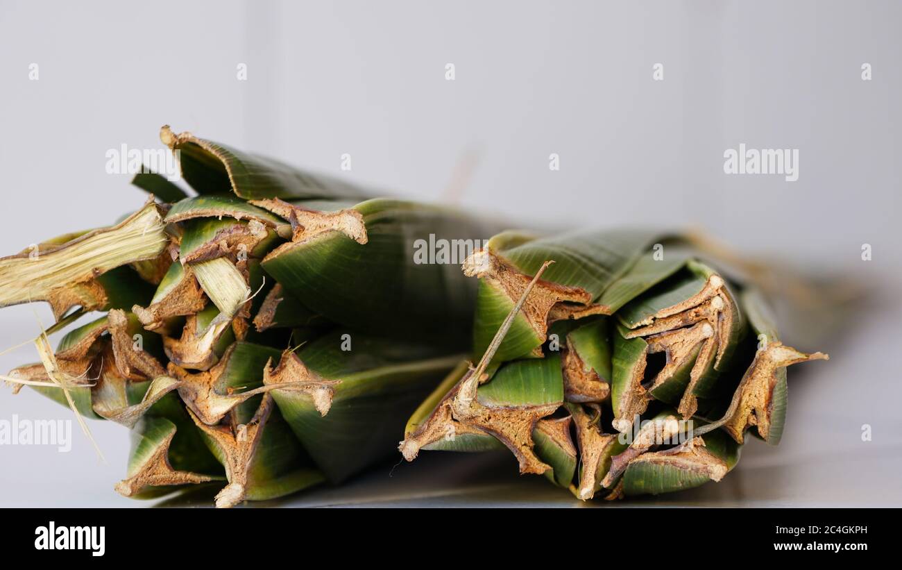 Coconut leaves texture hi-res stock photography and images - Alamy