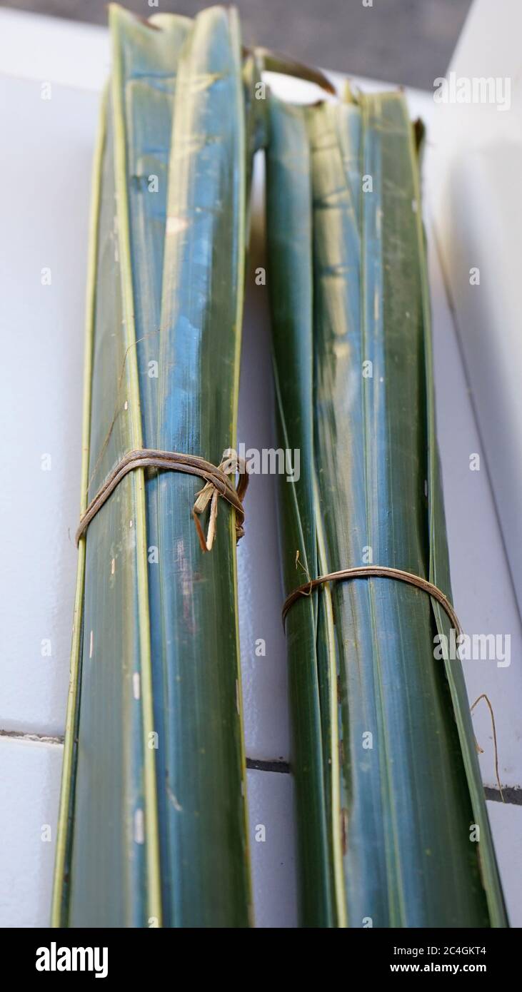 Coconut leaves texture hi-res stock photography and images - Alamy