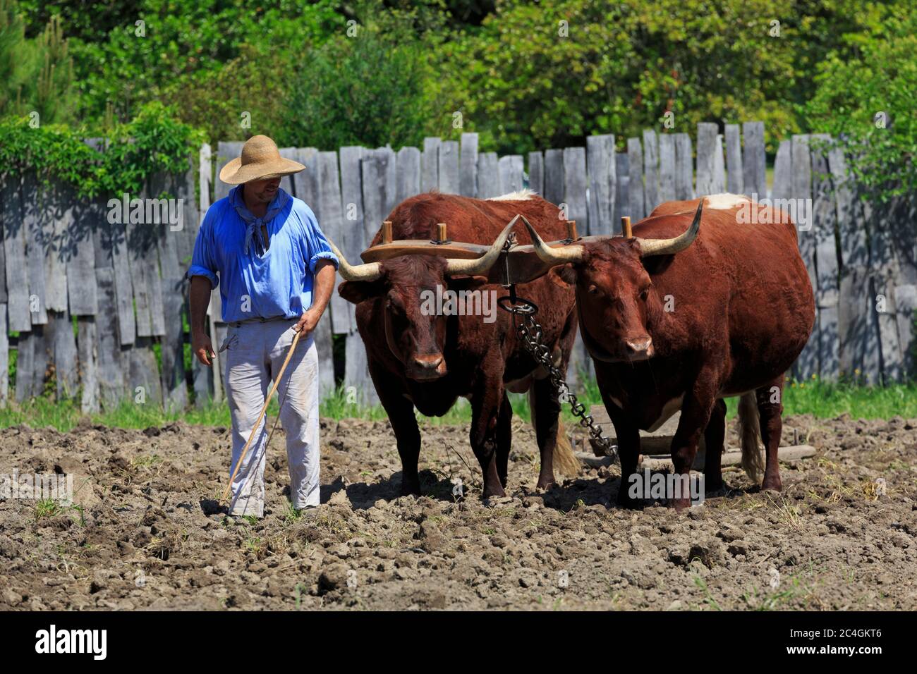 Colonial farming usa hi-res stock photography and images - Alamy