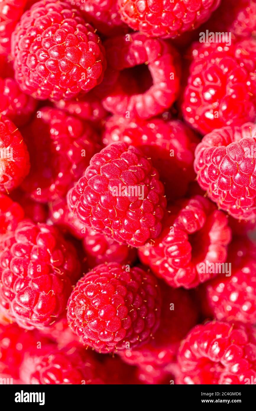 Details of ripe red raspberries Stock Photo - Alamy