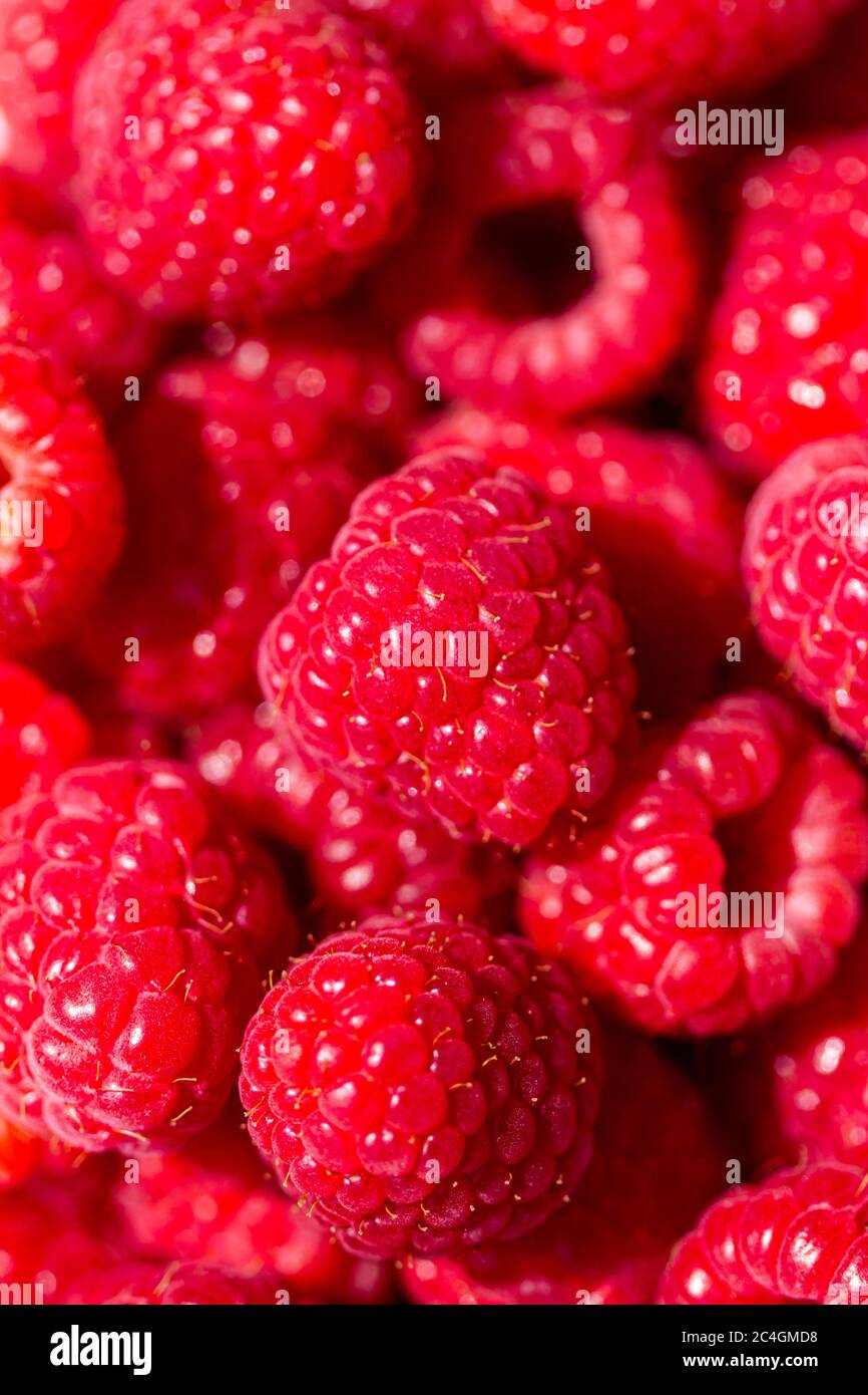 Details of ripe red raspberries Stock Photo - Alamy