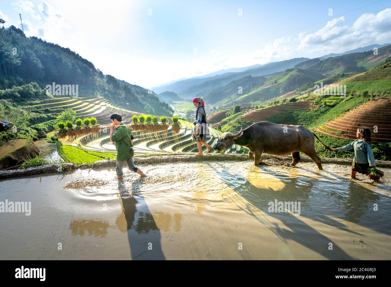 Mu Cang Chai, Yen Bai Province, Vietnam - May 30, 2020 - H'mong ethnic ...