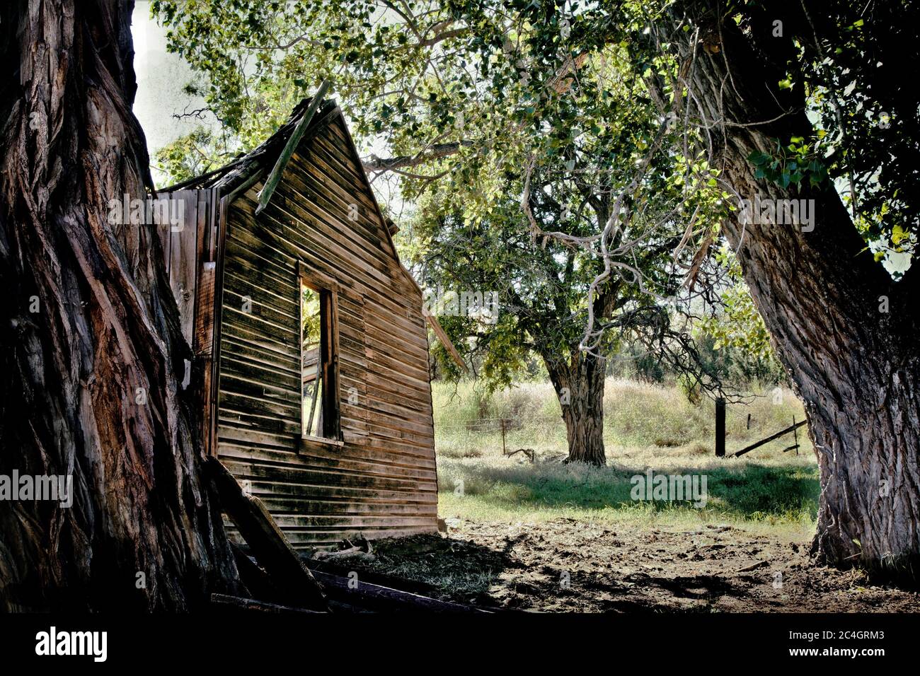 Abandoned wooden and collapsing family farm homestead where the farmer ...