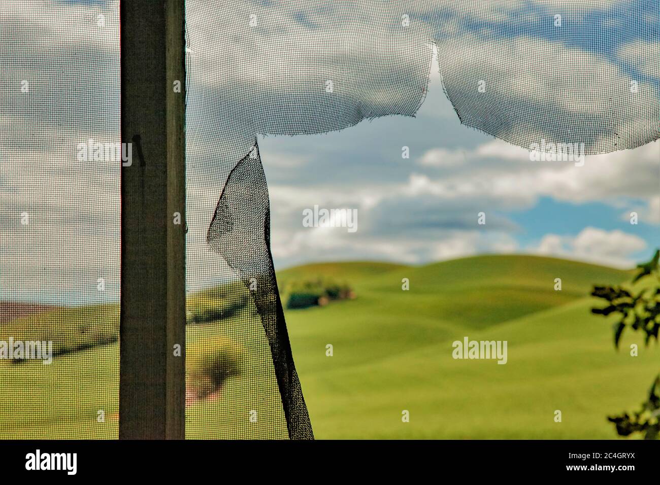 Seeing the green hillside through a torn screen window frame Stock ...