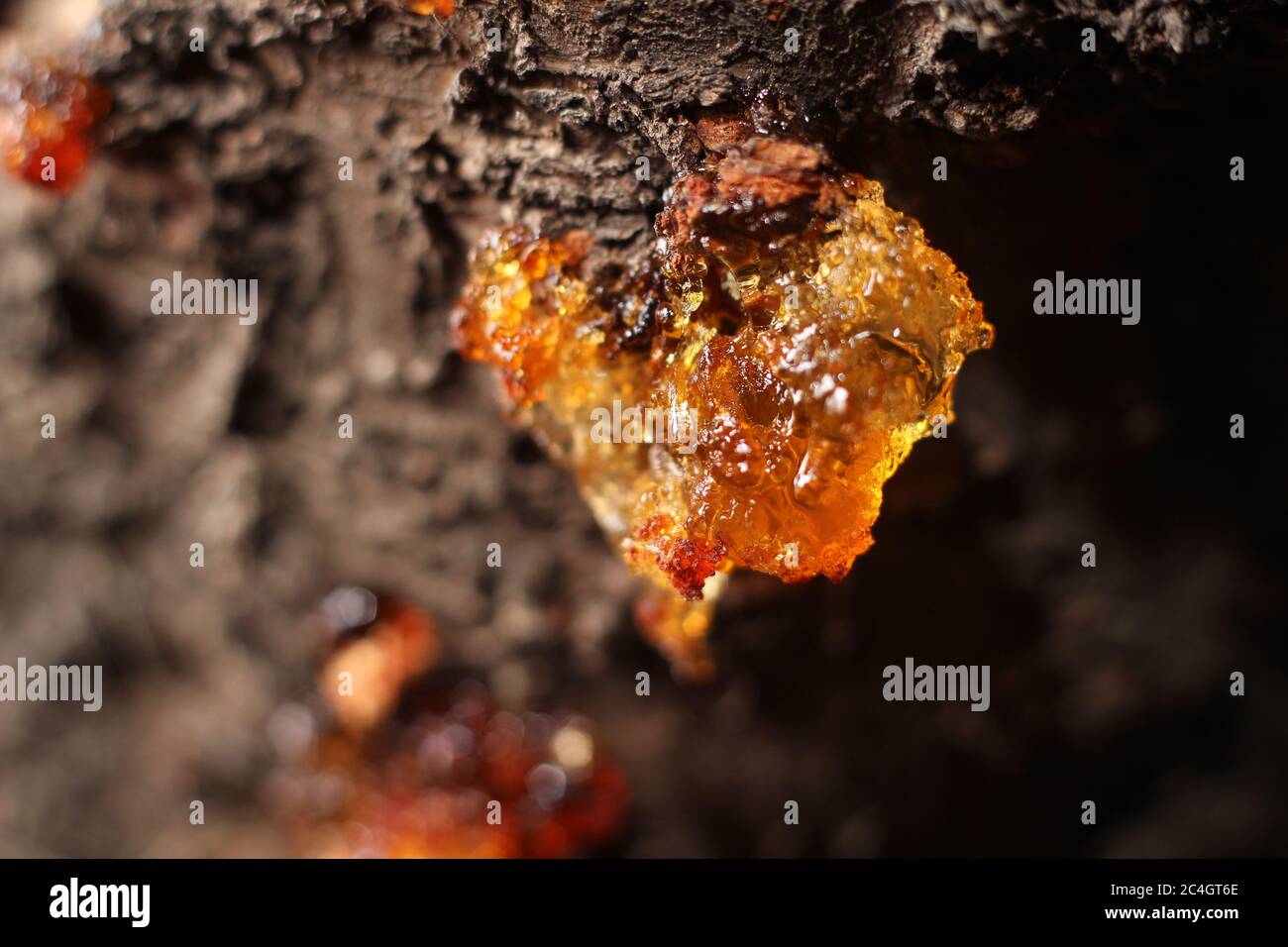 Peach resin hi-res stock photography and images - Alamy