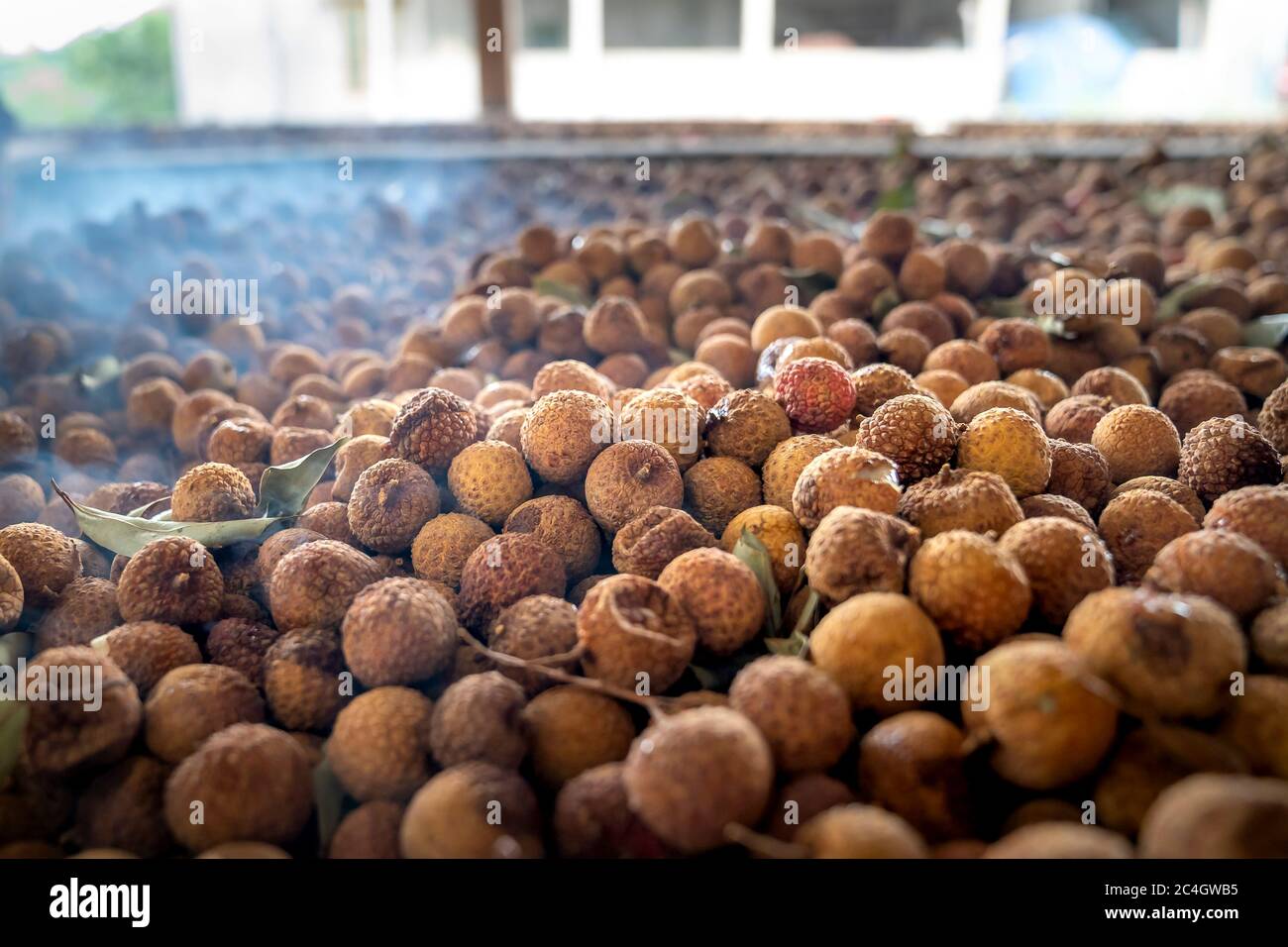 Farmers dry lychee after harvesting in Luc Ngan District, Bac Giang ...