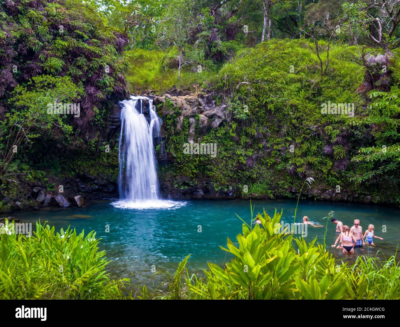Maui, Hawaii Hana Highway, Pua'a Ka'a State Wayside in Road to Hana ...