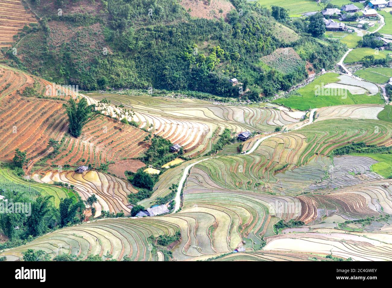 The image is as beautiful as the oil painting of terraced field. Curved ...