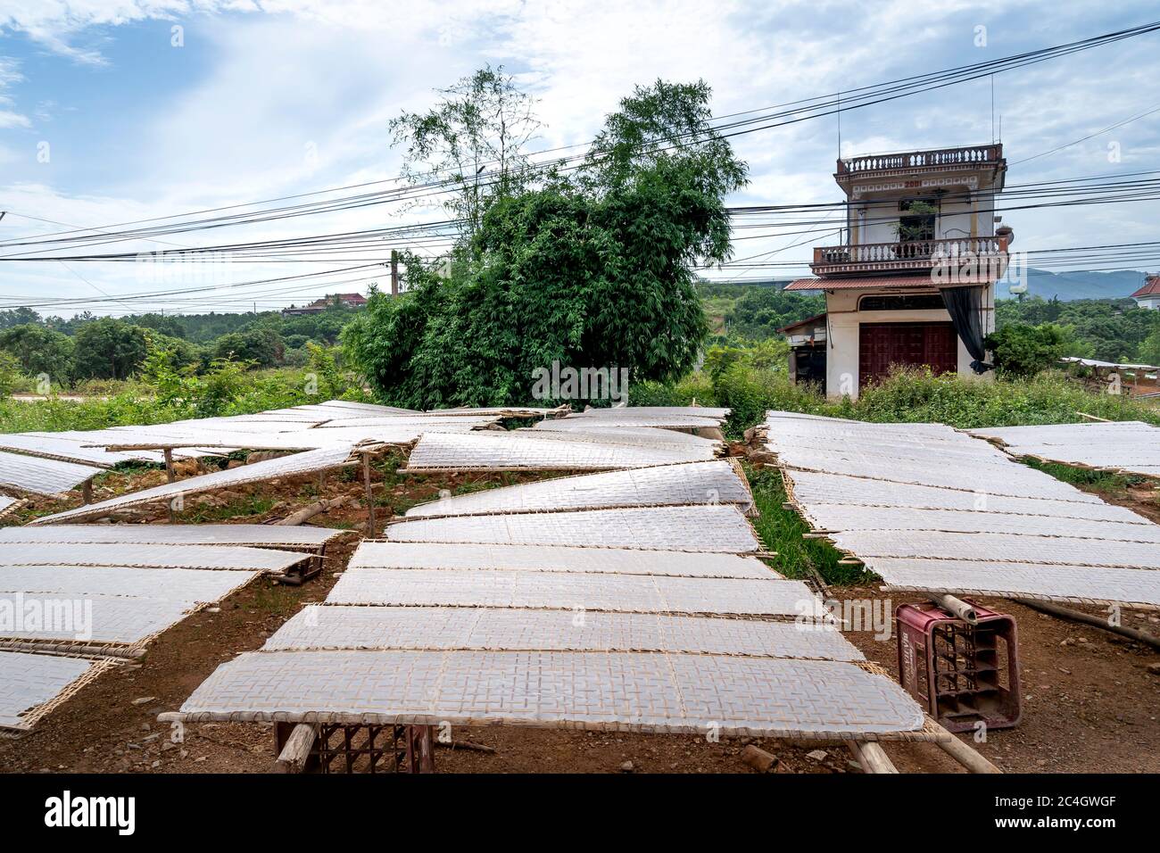 Exposing the noodles in the My Chu trade village of Thu Duong village ...