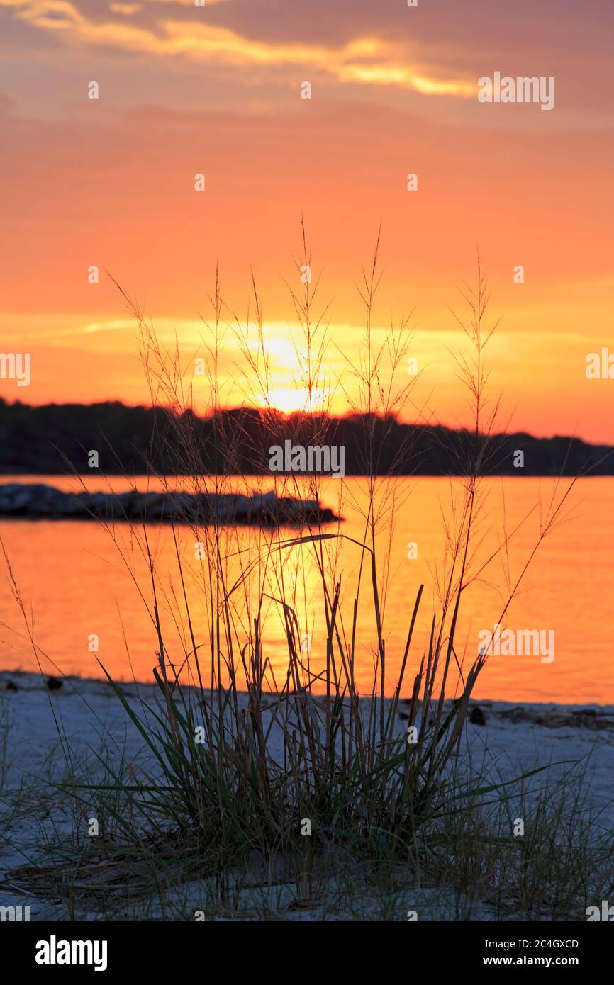 Beach in Yorktown, Virginia, USA Stock Photo - Alamy