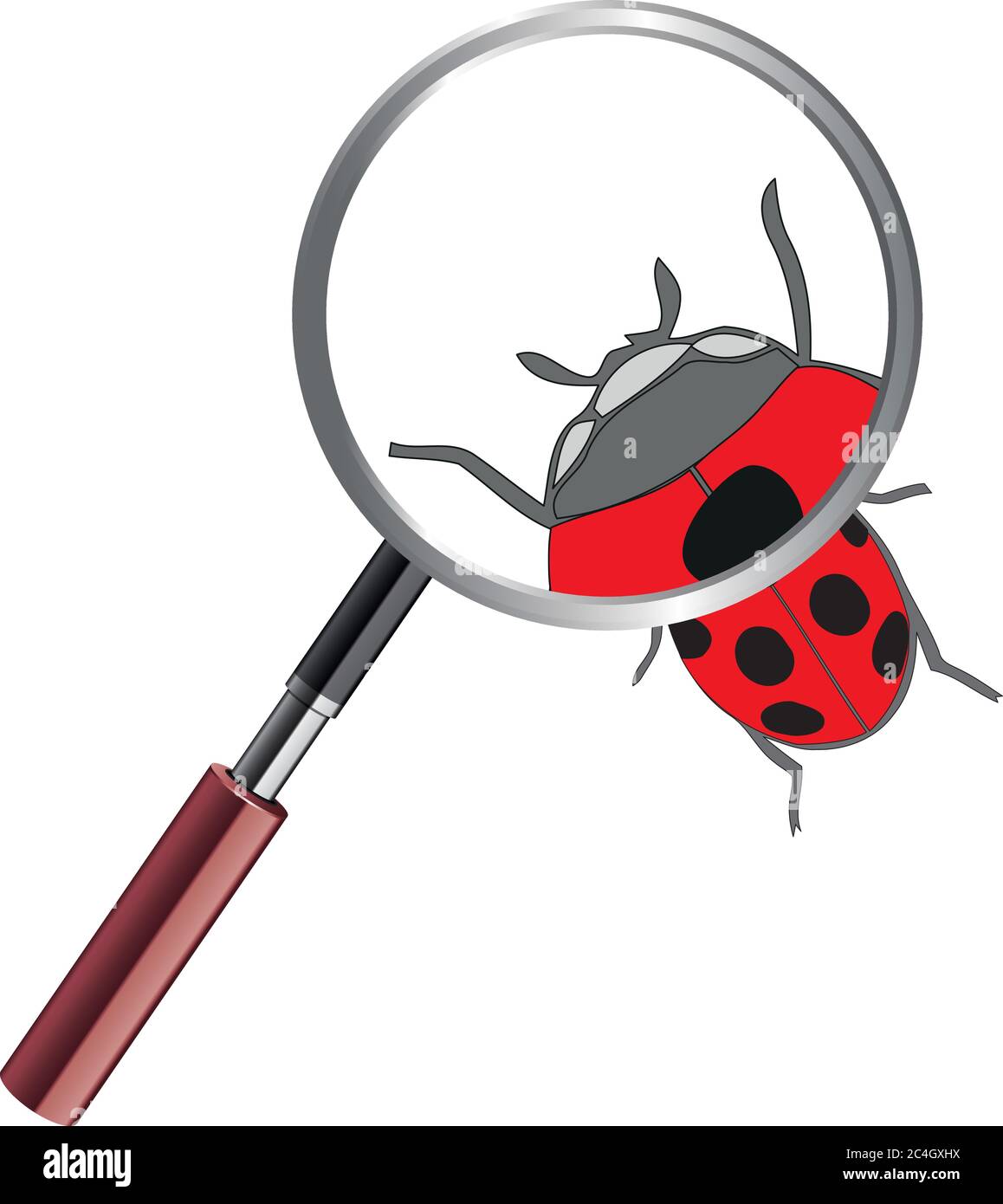 Ladybug under microscope. Ladybird on white background. Cute cartoon ...