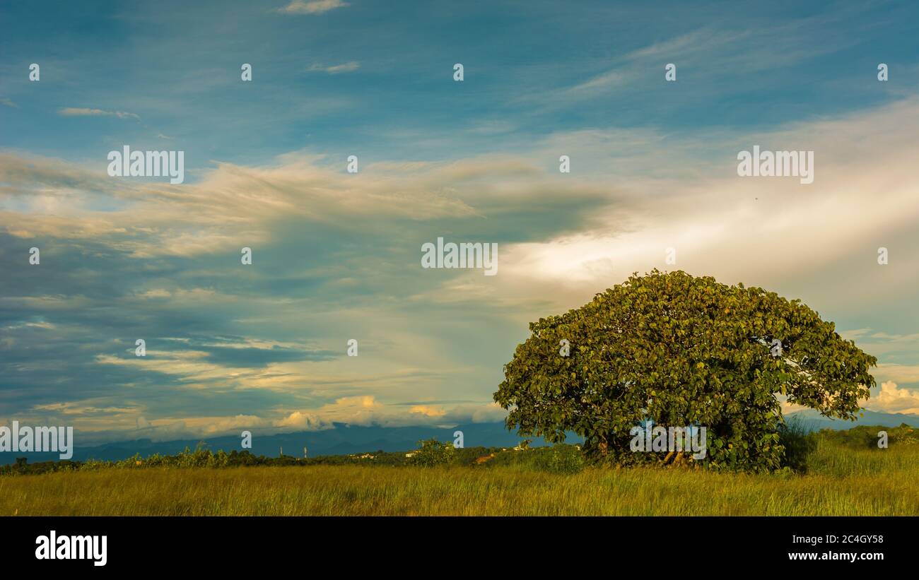 Lonely beautiful place hi-res stock photography and images - Alamy