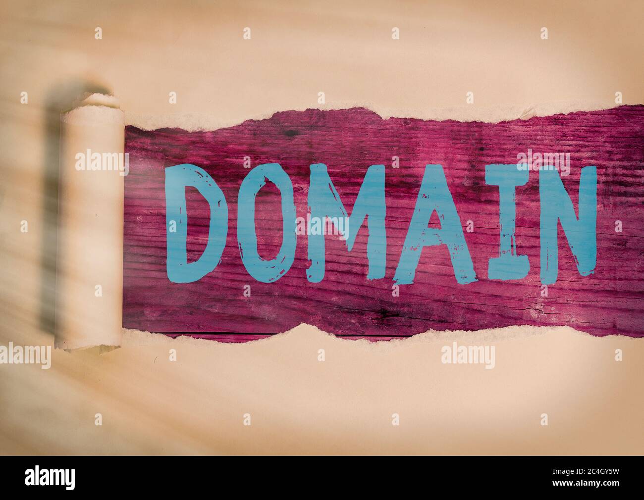 Handwriting text writing Domain. Conceptual photo identification string ...