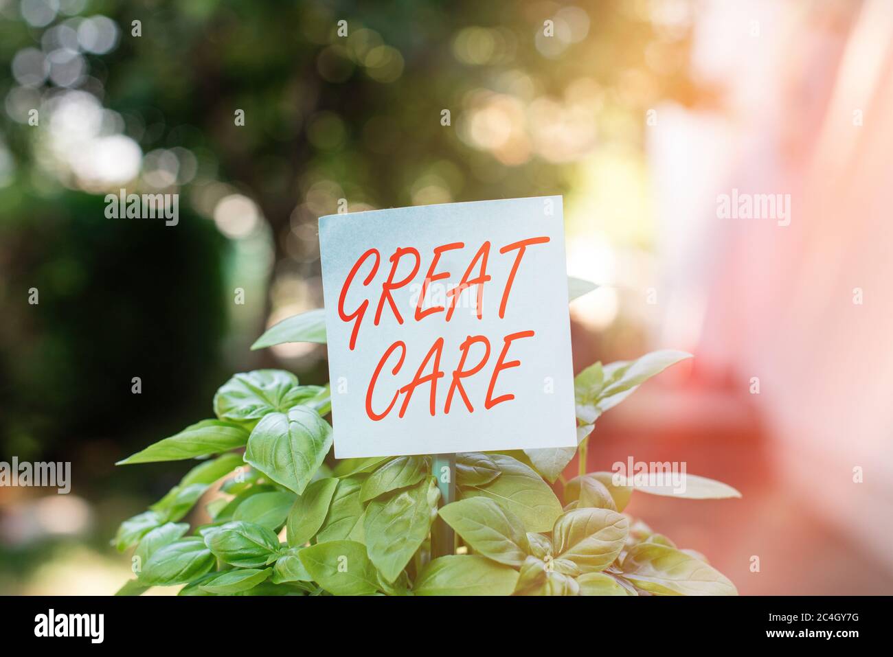 Writing note showing Great Care. Business concept for giving attention ...