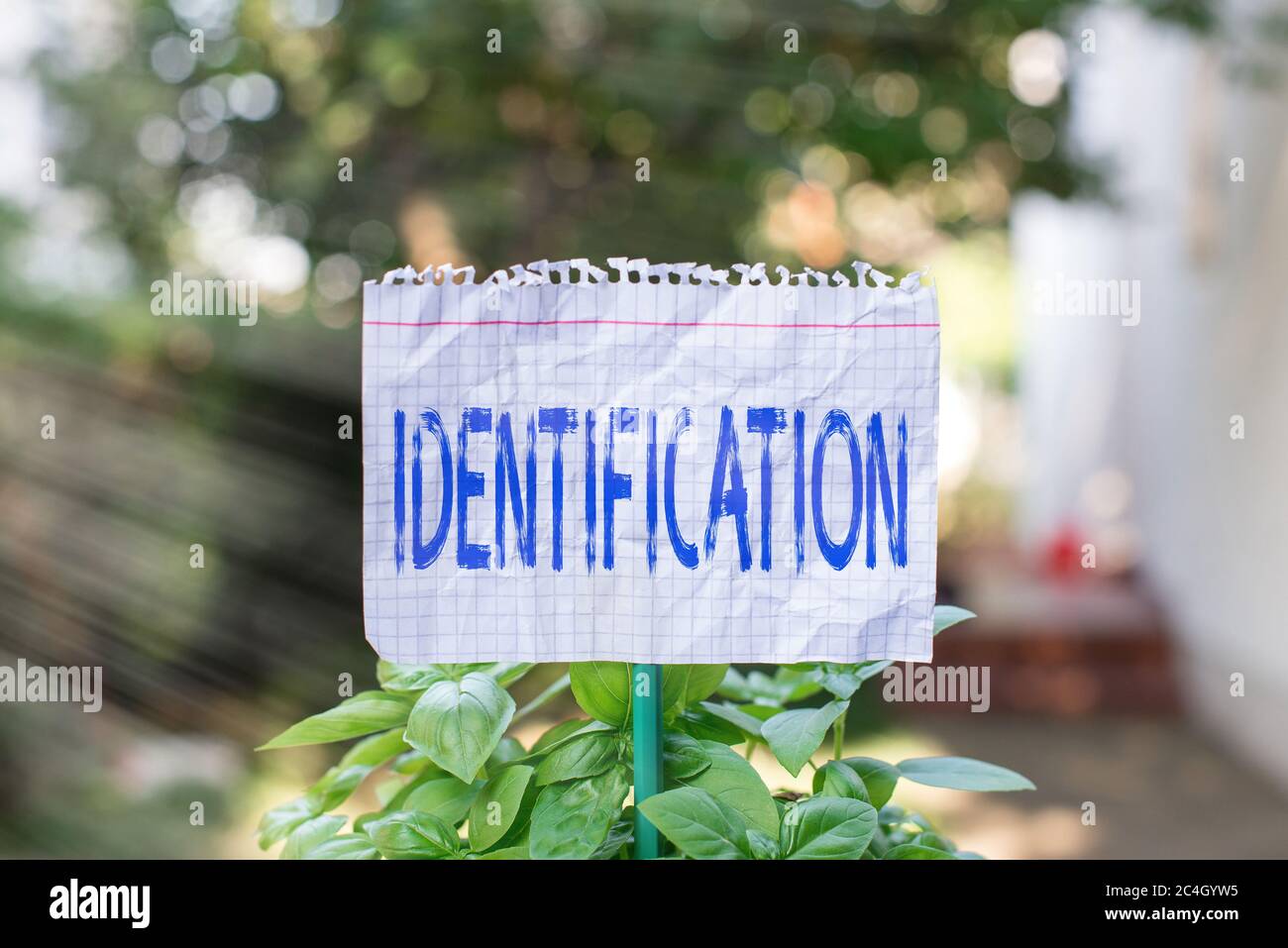 Handwriting text Identification. Conceptual photo an action or ...