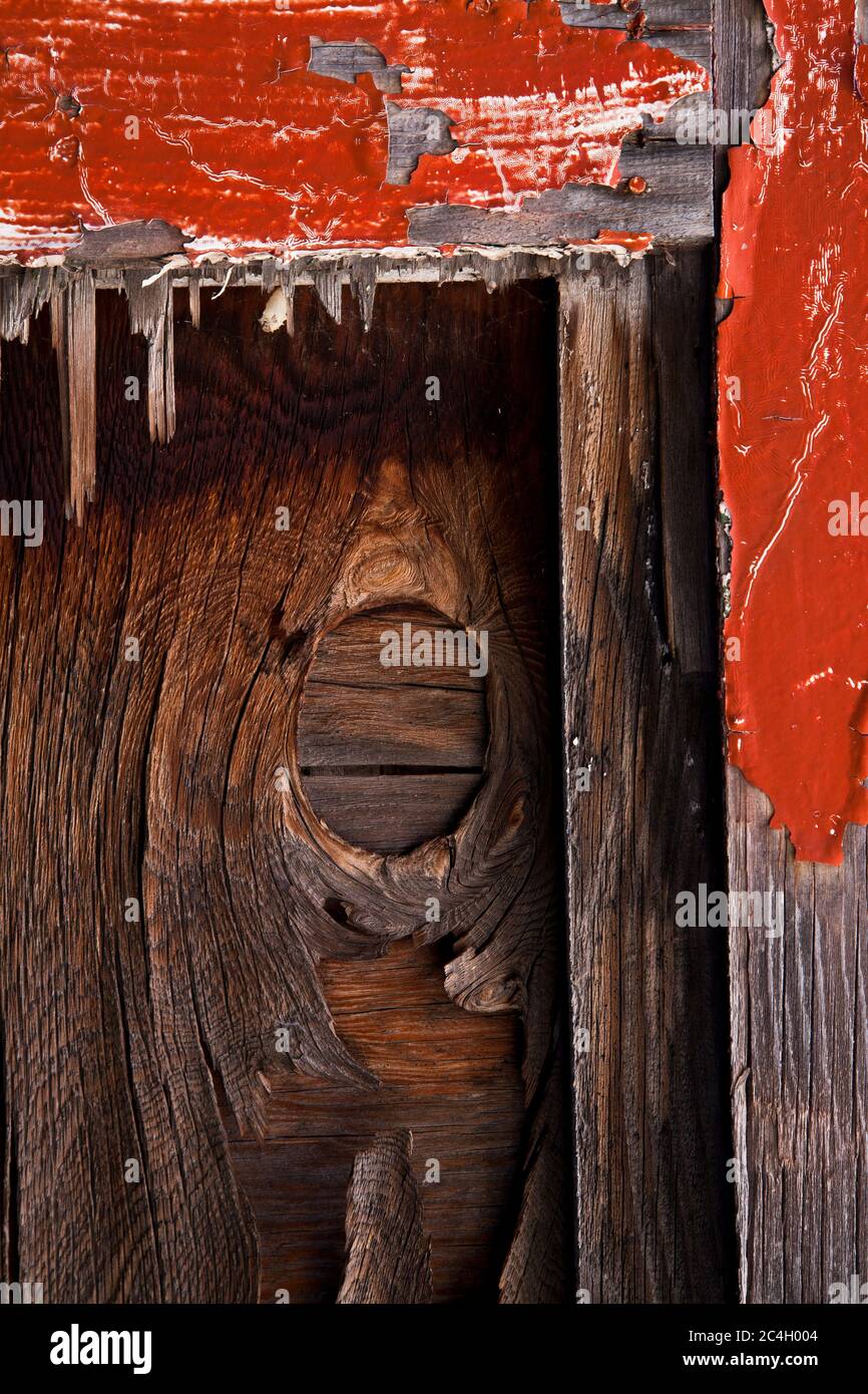 rugged wood door frames on inside of old barn door with peeling red ...