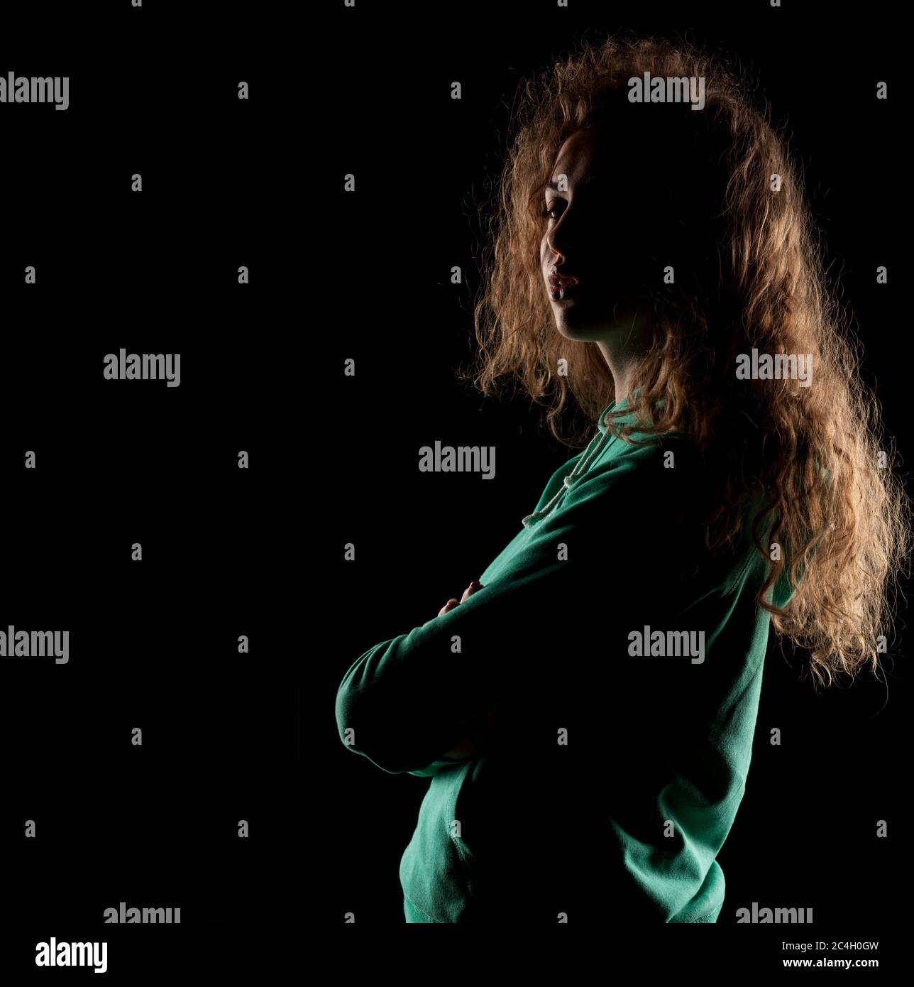 portrait of a girl with the face in shadow on a dark background Stock ...