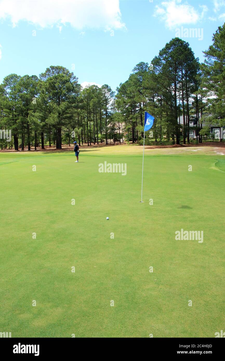 Golf course greens with green grass, trees and blue sky background ...