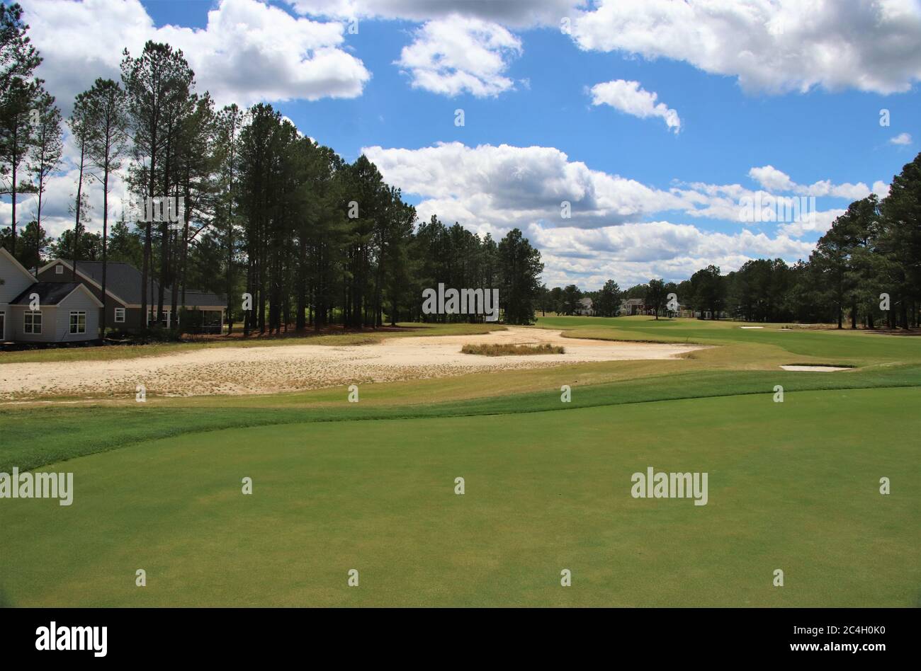 Golf course greens with green grass, trees and blue sky background ...